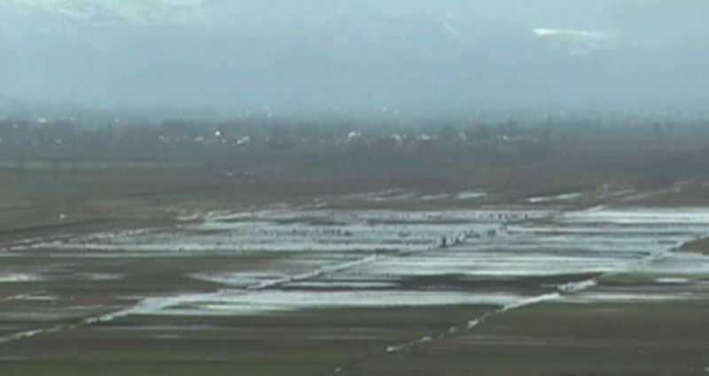 Historia e Kënetës së Maliqit: Si e përvetësuan komunistët projektin e ...