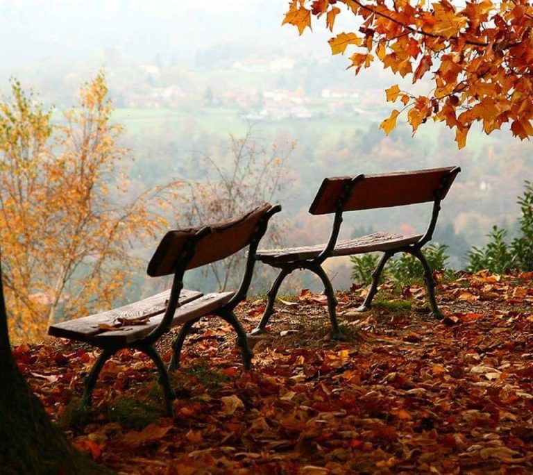 Roland Shyti: Jorgani i dashurisë - ObserverKult