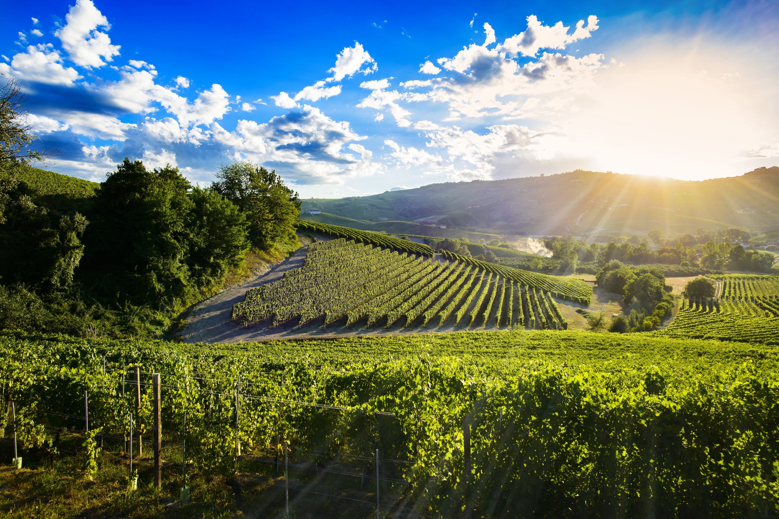 Malet, verërat dhe traditat e Kosovës, në serialin e televizionit ...