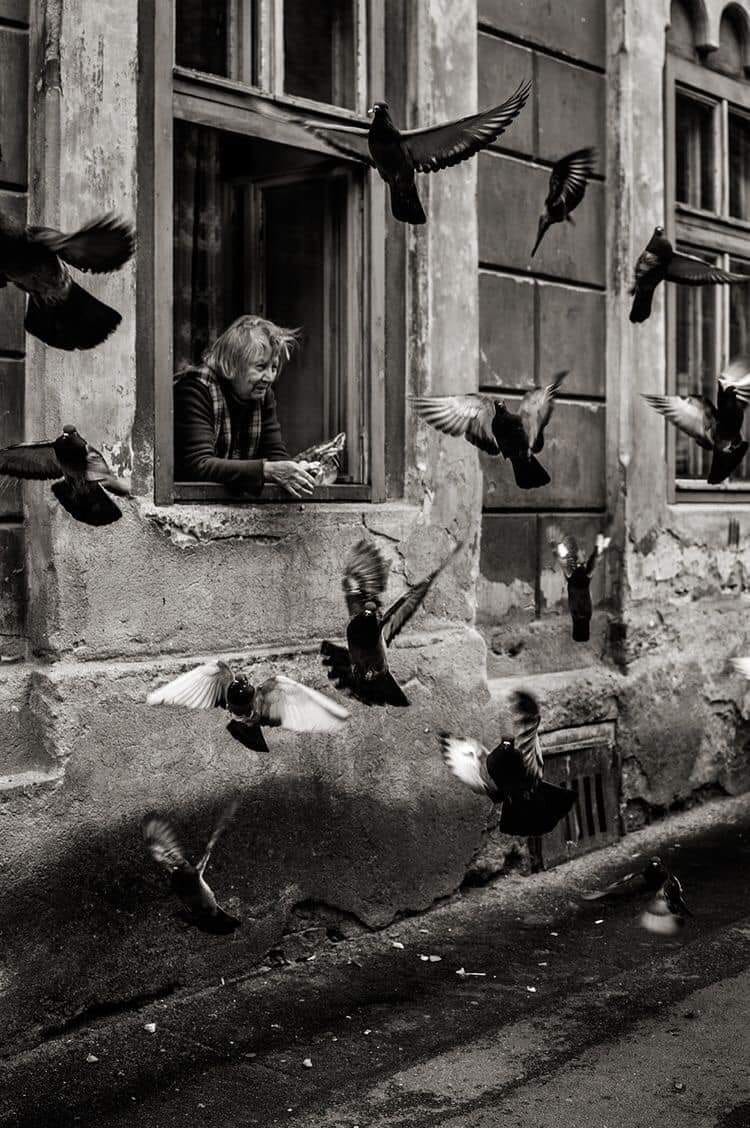 Laura Esquivel: Njerëz, kujdes me fjalën... - ObserverKult