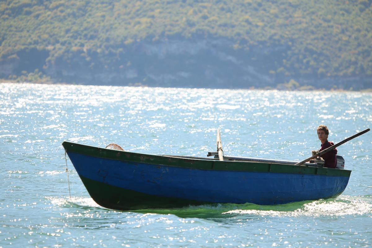 Filmi i fundit i Gjergj Xhuvanit do të shfaqet në Pejë - ObserverKult