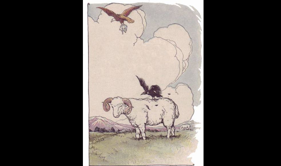 Lexojeni Shqiponja Sorra Dhe Bariu Fabula E Famshme E Ezopit