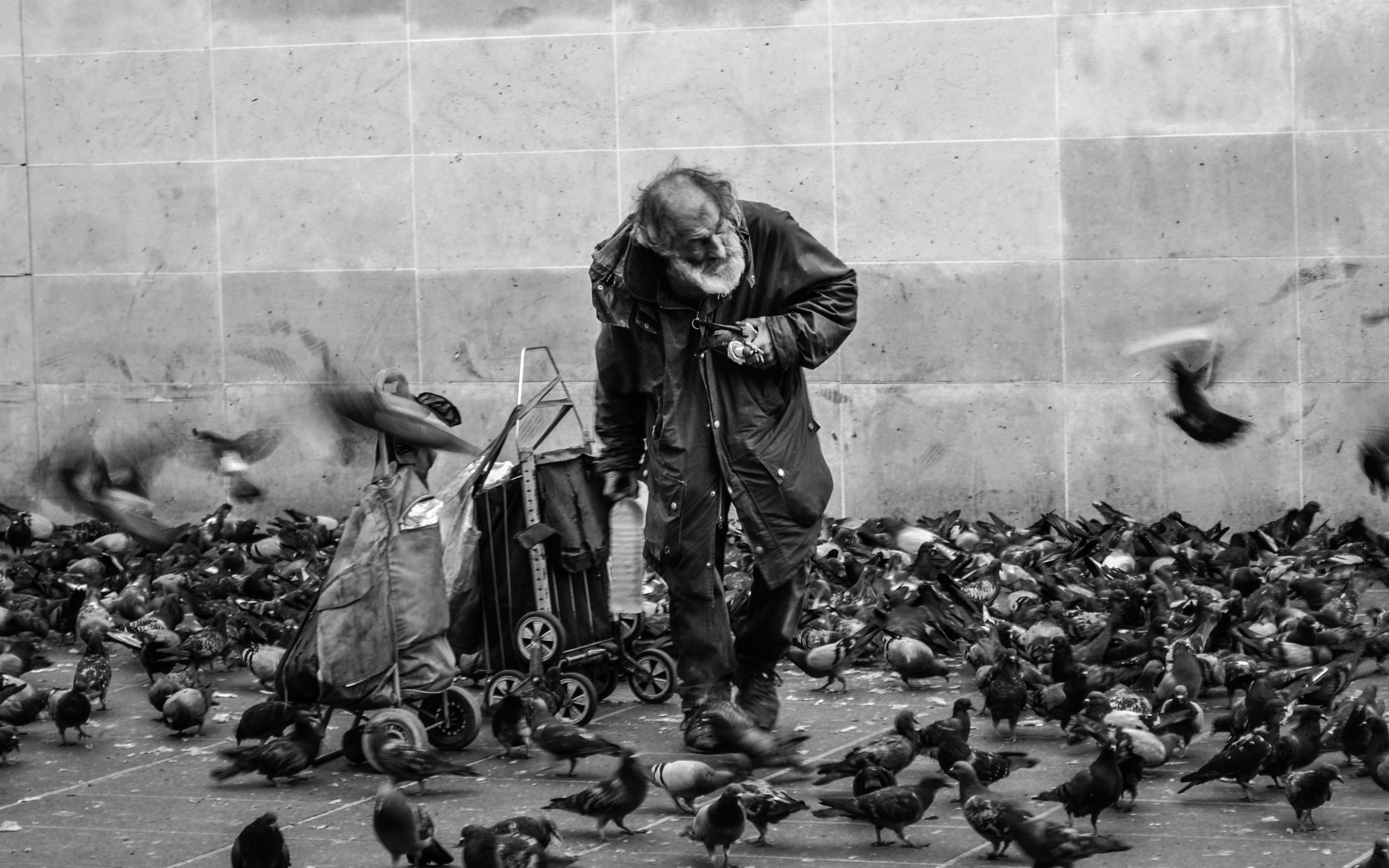 Zgjedhjet morale që ne bëjmë, nxiten nga logjika apo emocionet ...